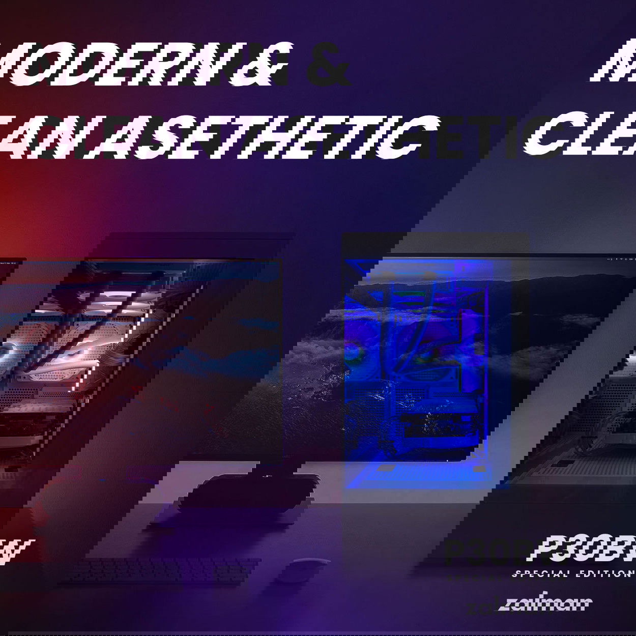 Zalman P30 Black/White Special Edition mATX Mini-Tower PC Case Panoram ...