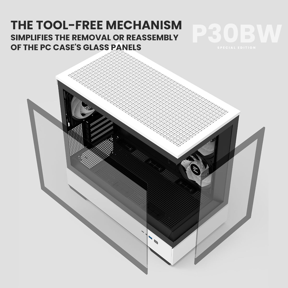 Zalman P30 Black/White Special Edition mATX Mini-Tower PC Case Panoram ...